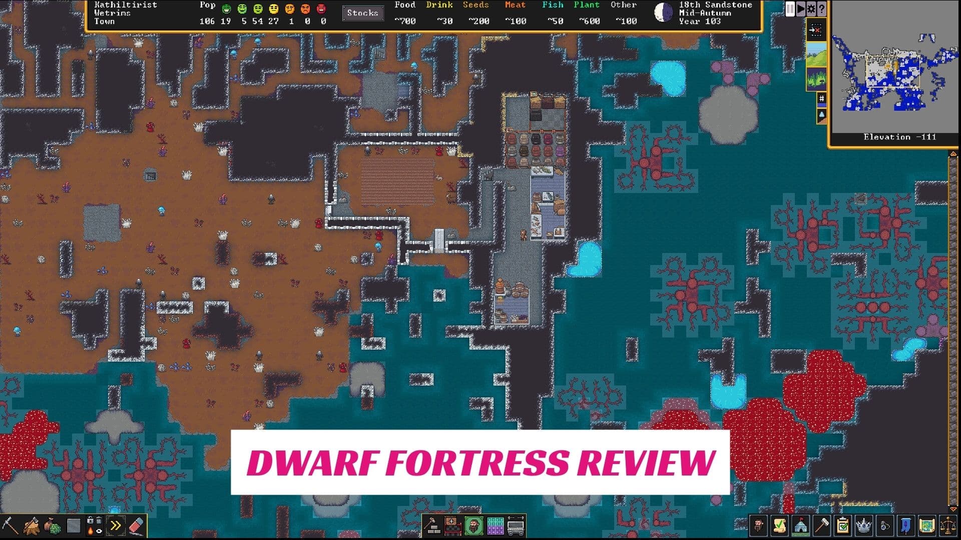 Dwarf Fortress Review